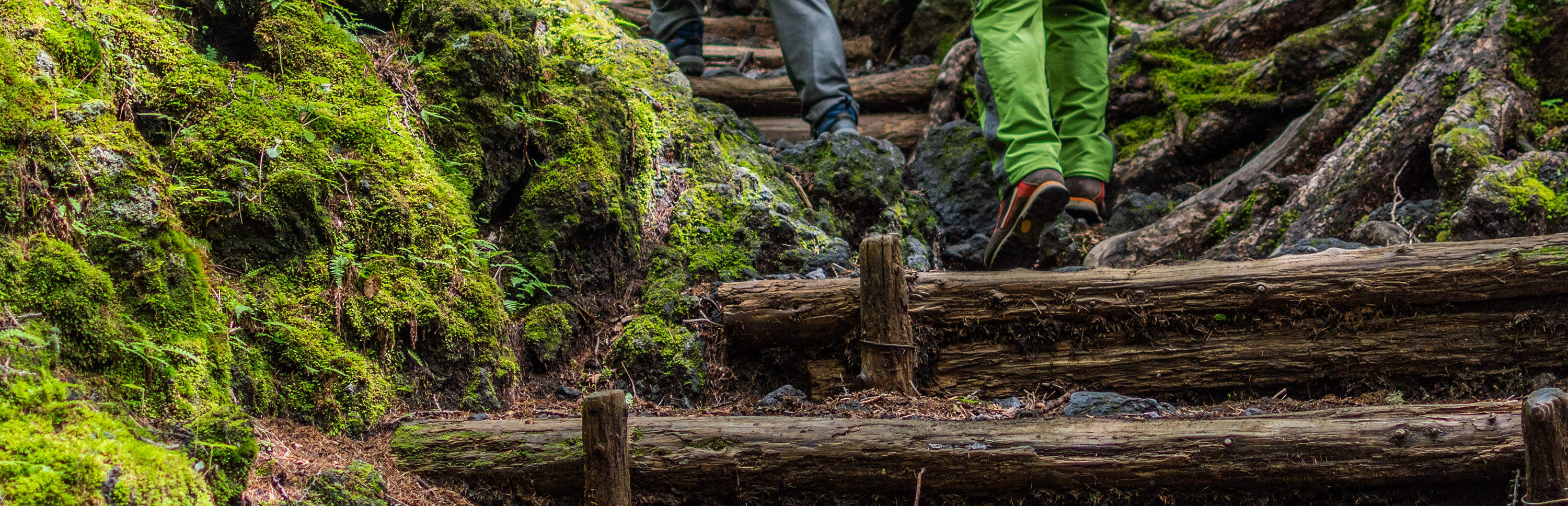 Mt. Fuji Hiking One-Day Tour: 5th to 7th Station from Shinjuku - Klook